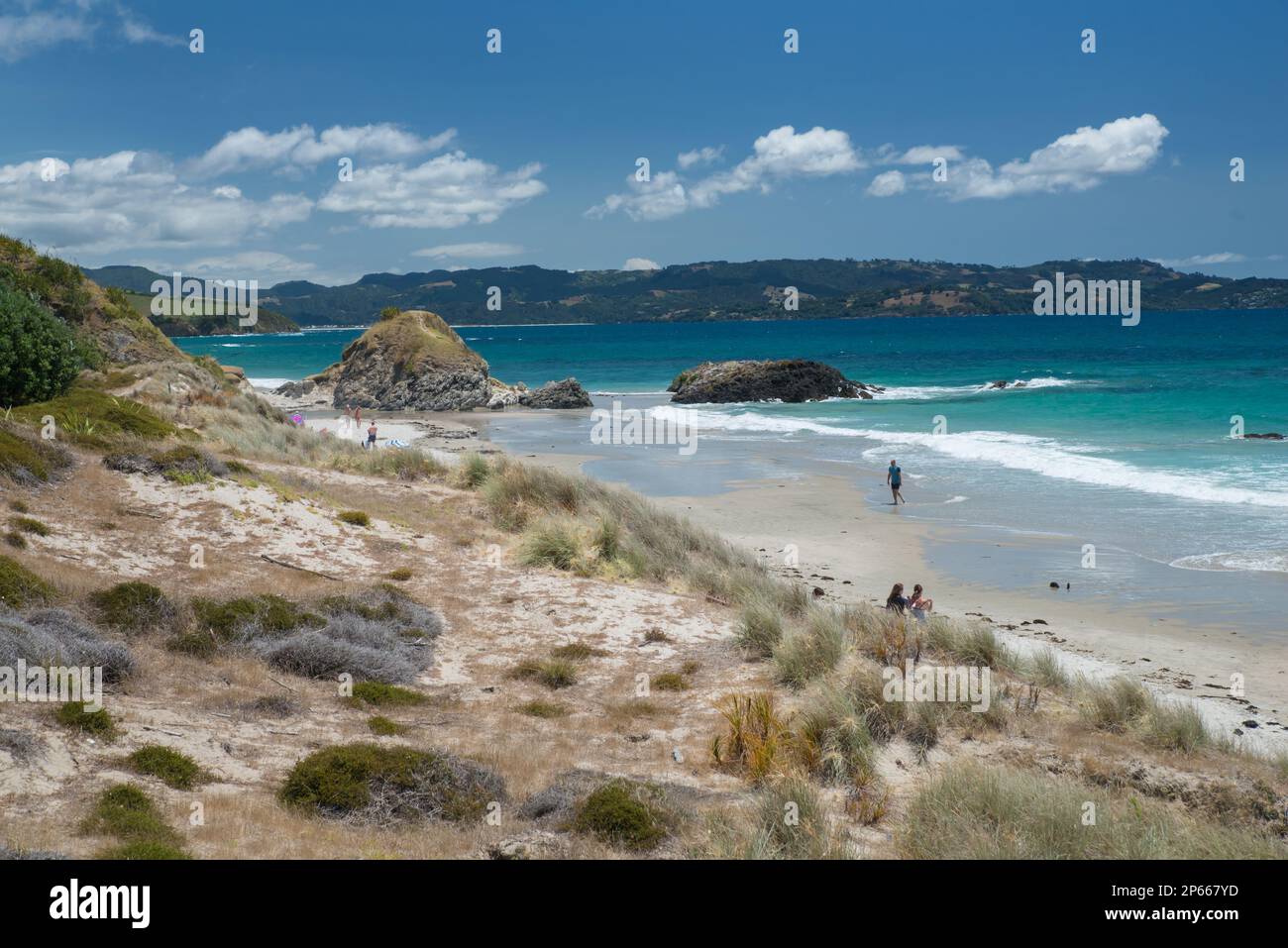 Anchor Bay, Tawharanui Regional Park on the north island of New Zealand ...