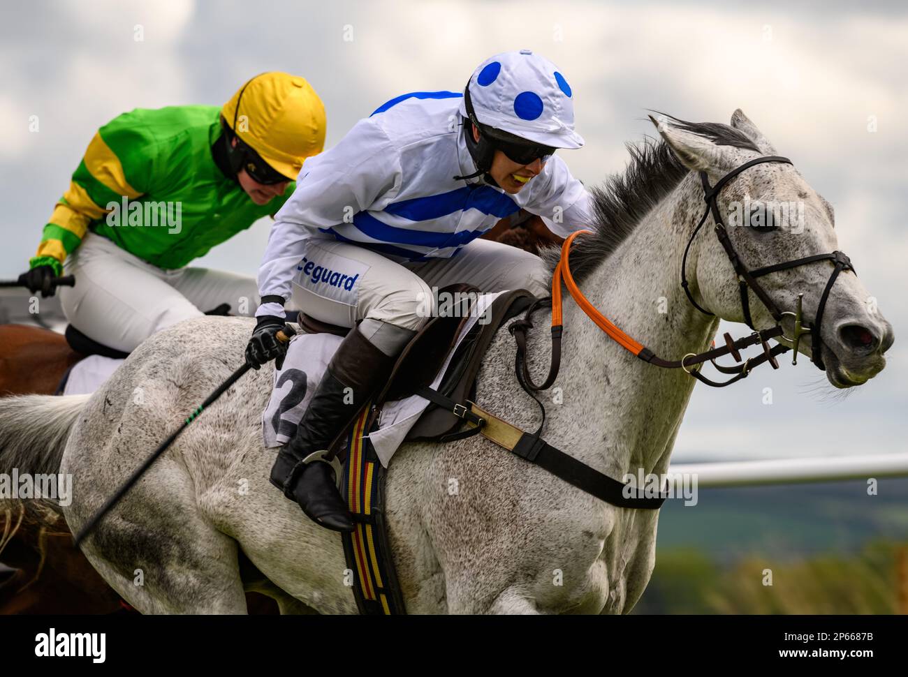 Point to point horse racing Eyton on Severn 2022 Stock Photo - Alamy