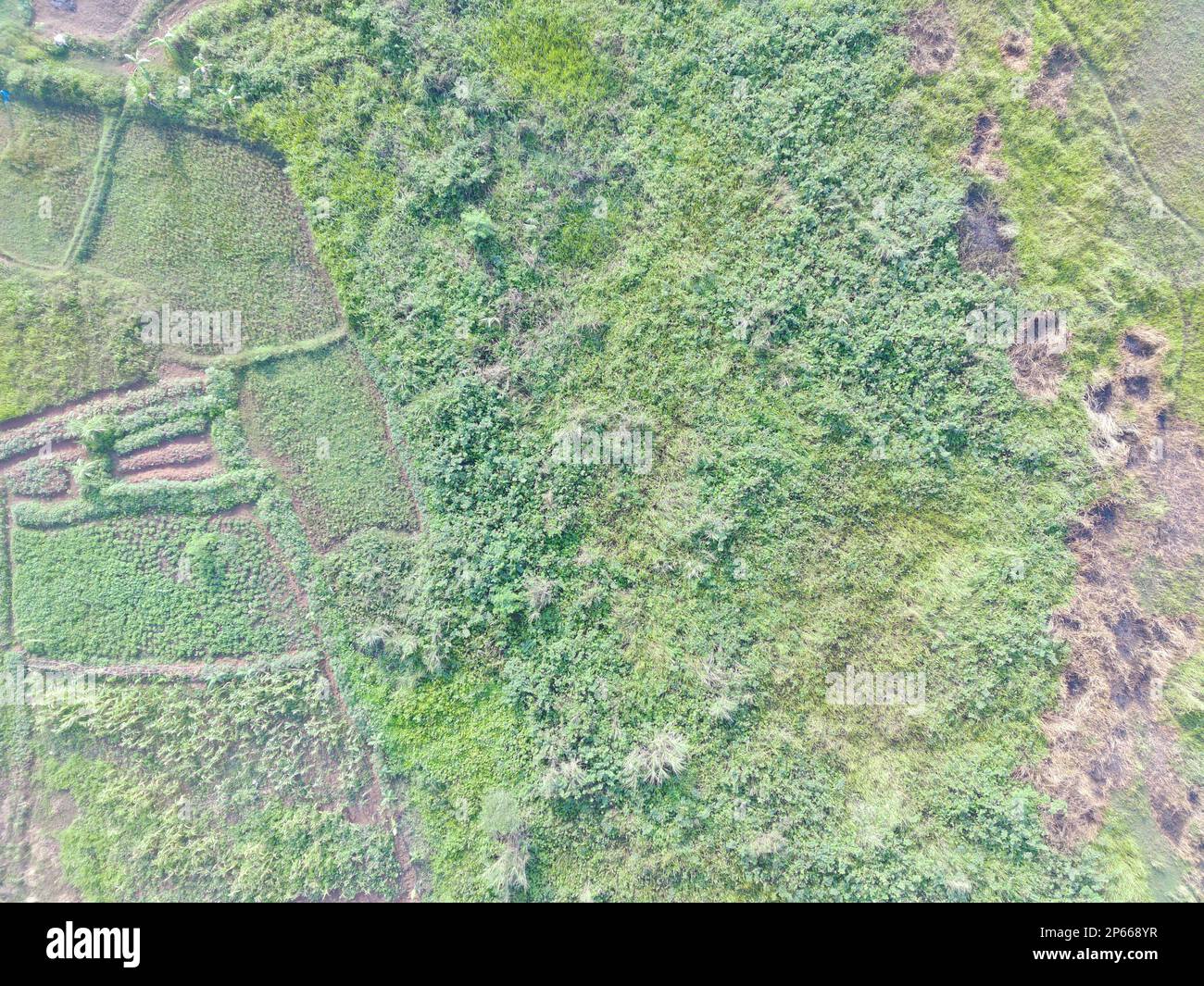 Drone mapping surveying urban hi-res stock photography and images - Alamy