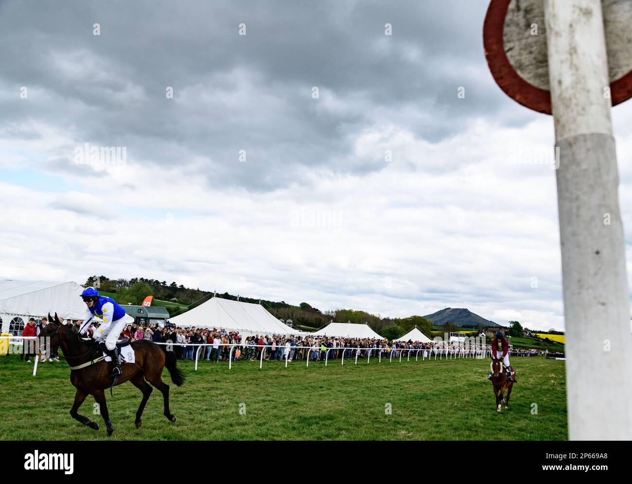 Point to point horse racing Eyton on Severn 2022 Stock Photo - Alamy