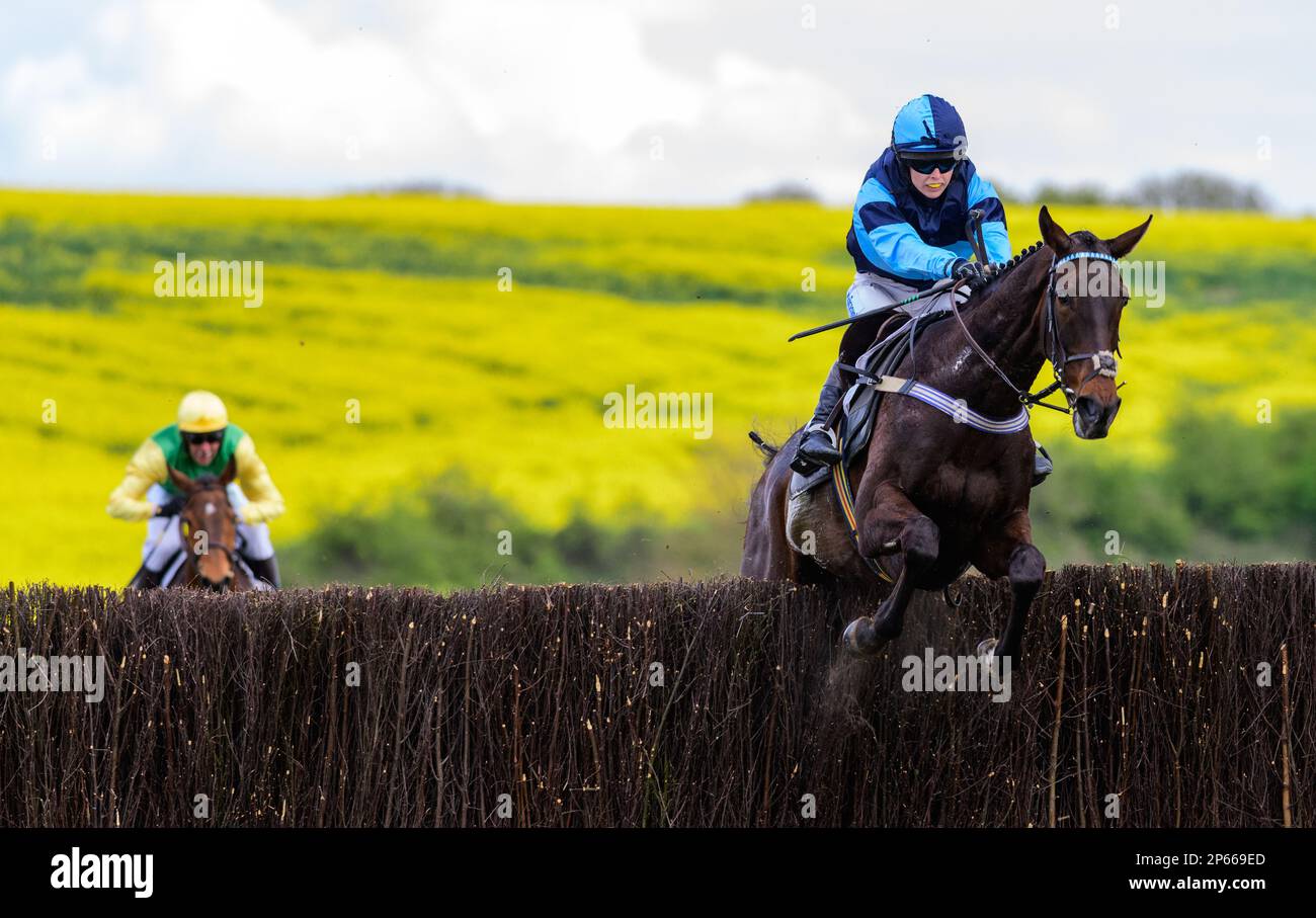 Point to point horse racing Eyton on Severn 2022 Stock Photo - Alamy