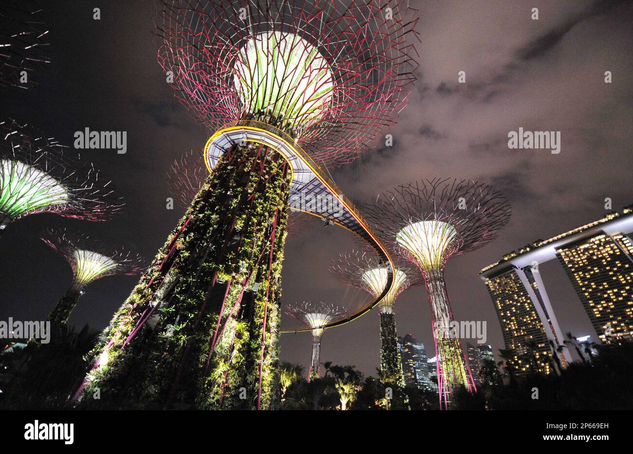The OCBC Light and Sound Show bathes the Supertrees at the Gardens By ...