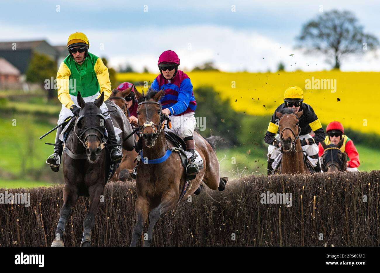 Point to point horse racing Eyton on Severn 2022 Stock Photo - Alamy
