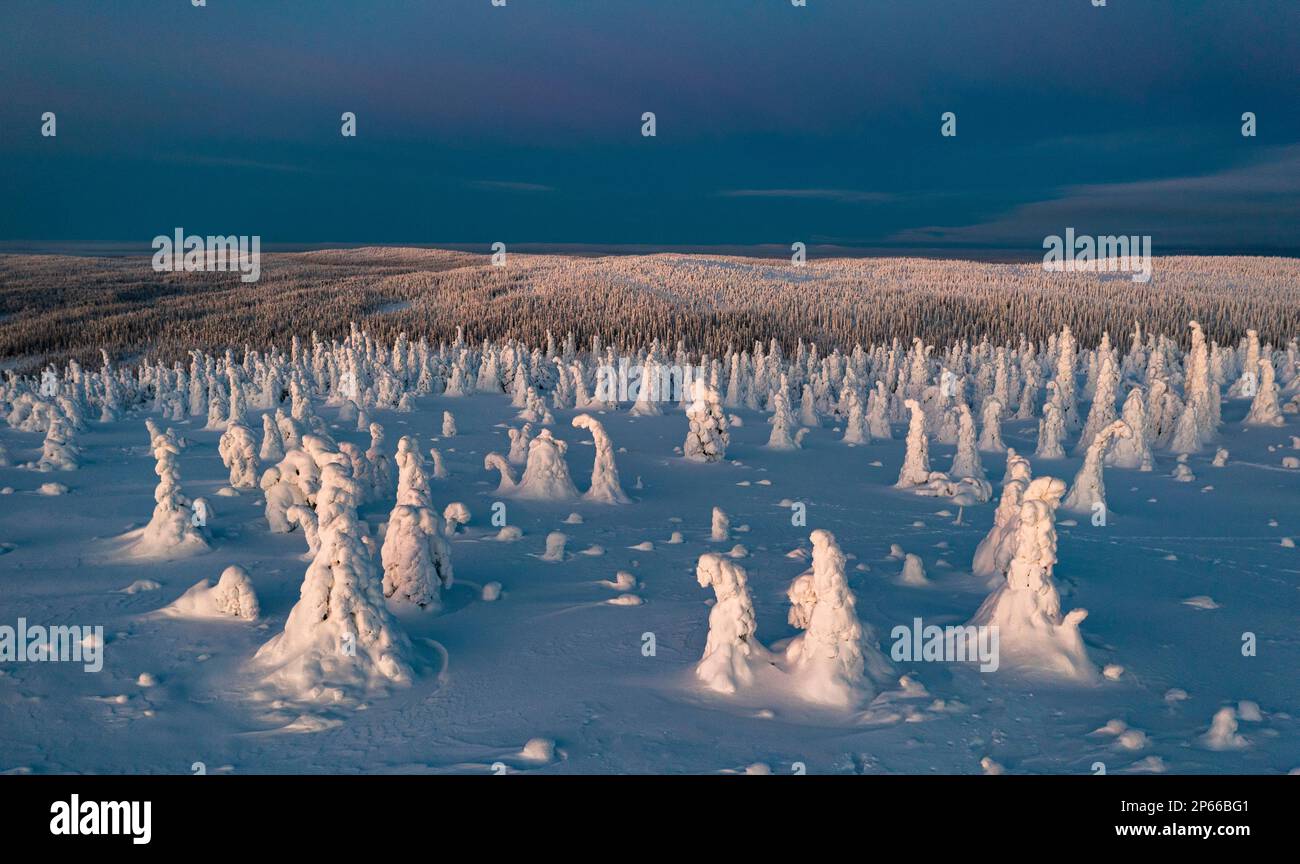 Sunrise over ice sculptures in the snowy forest, aerial view ...