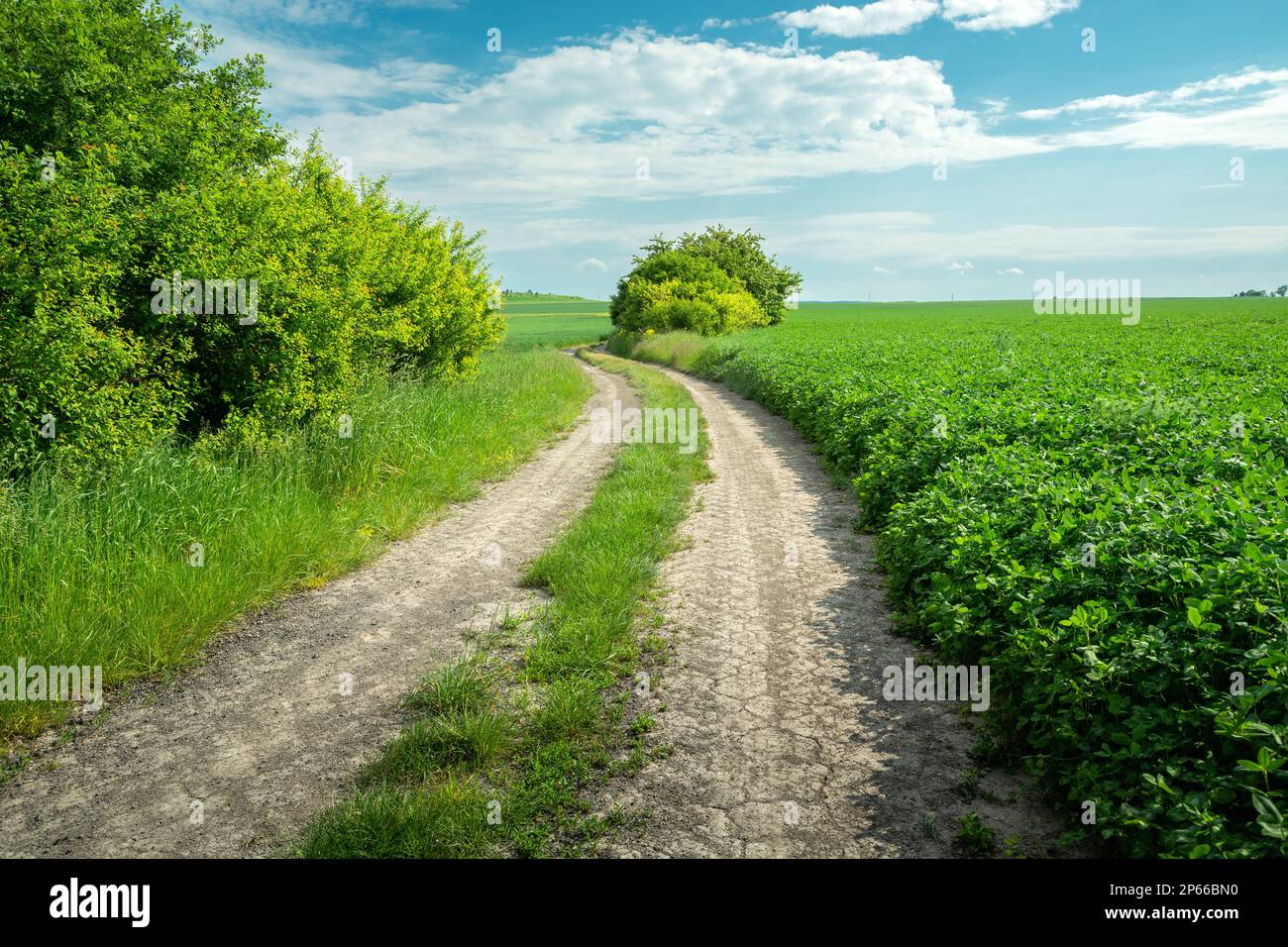 A june day hi-res stock photography and images - Alamy