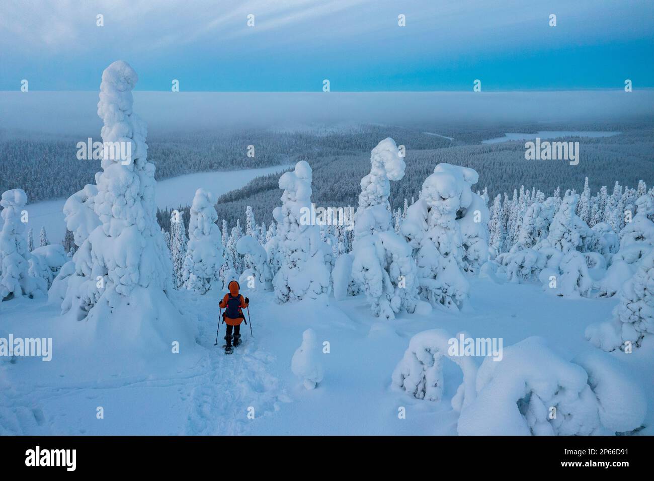 Walking trail in finland hi-res stock photography and images - Alamy