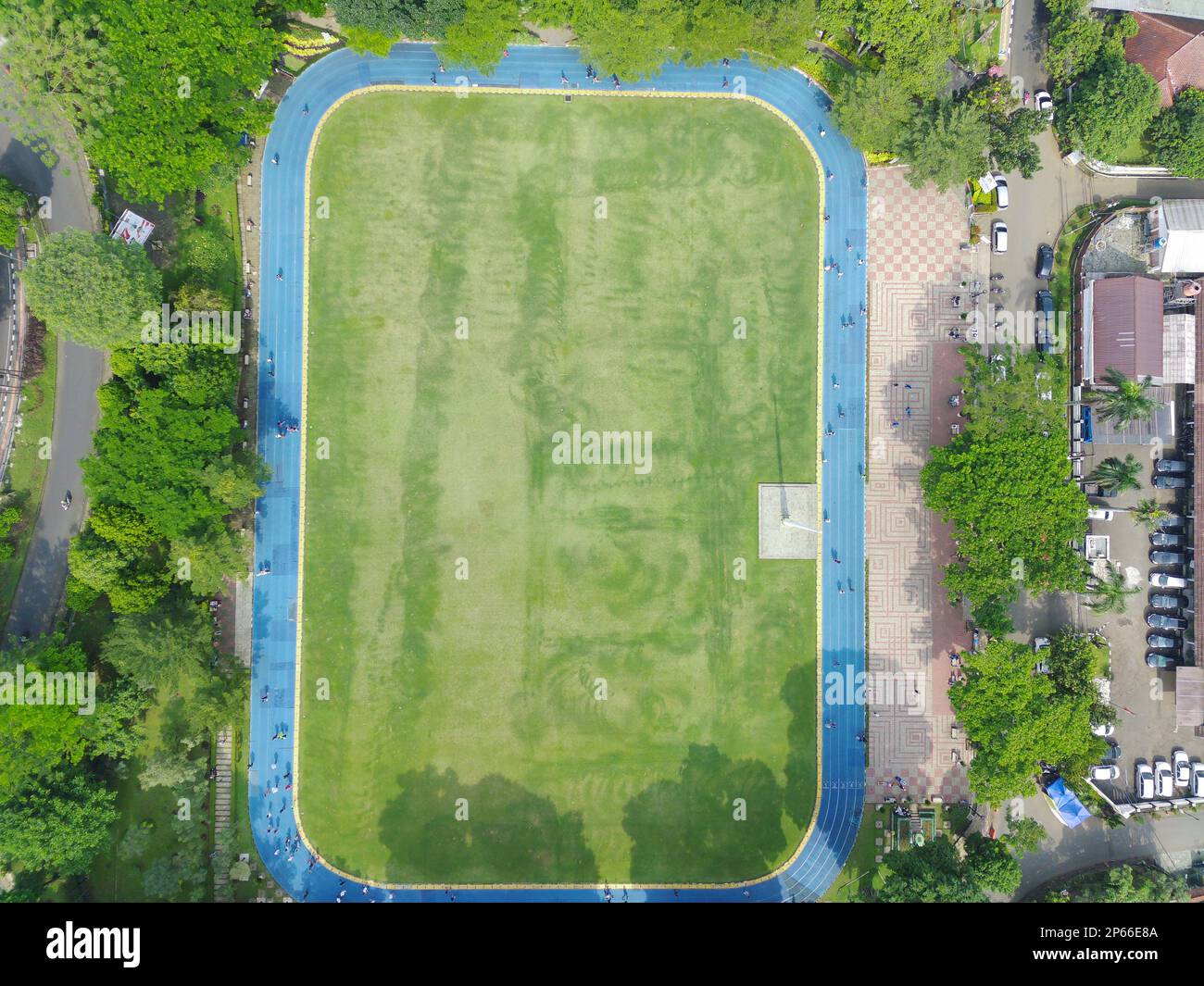aerial view of sempur field with beautiful pattern in Bogor, Indonesia ...