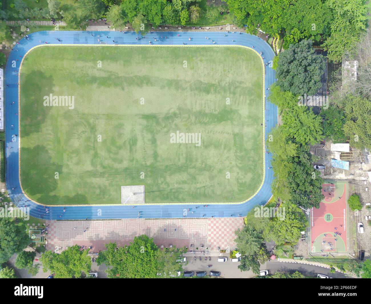 aerial view of sempur field with beautiful pattern in Bogor, Indonesia ...