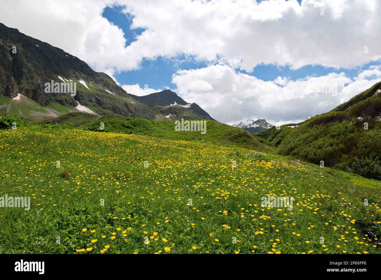 Switzerland, Canton Ticino, Ritom-Piora Stock Photo - Alamy