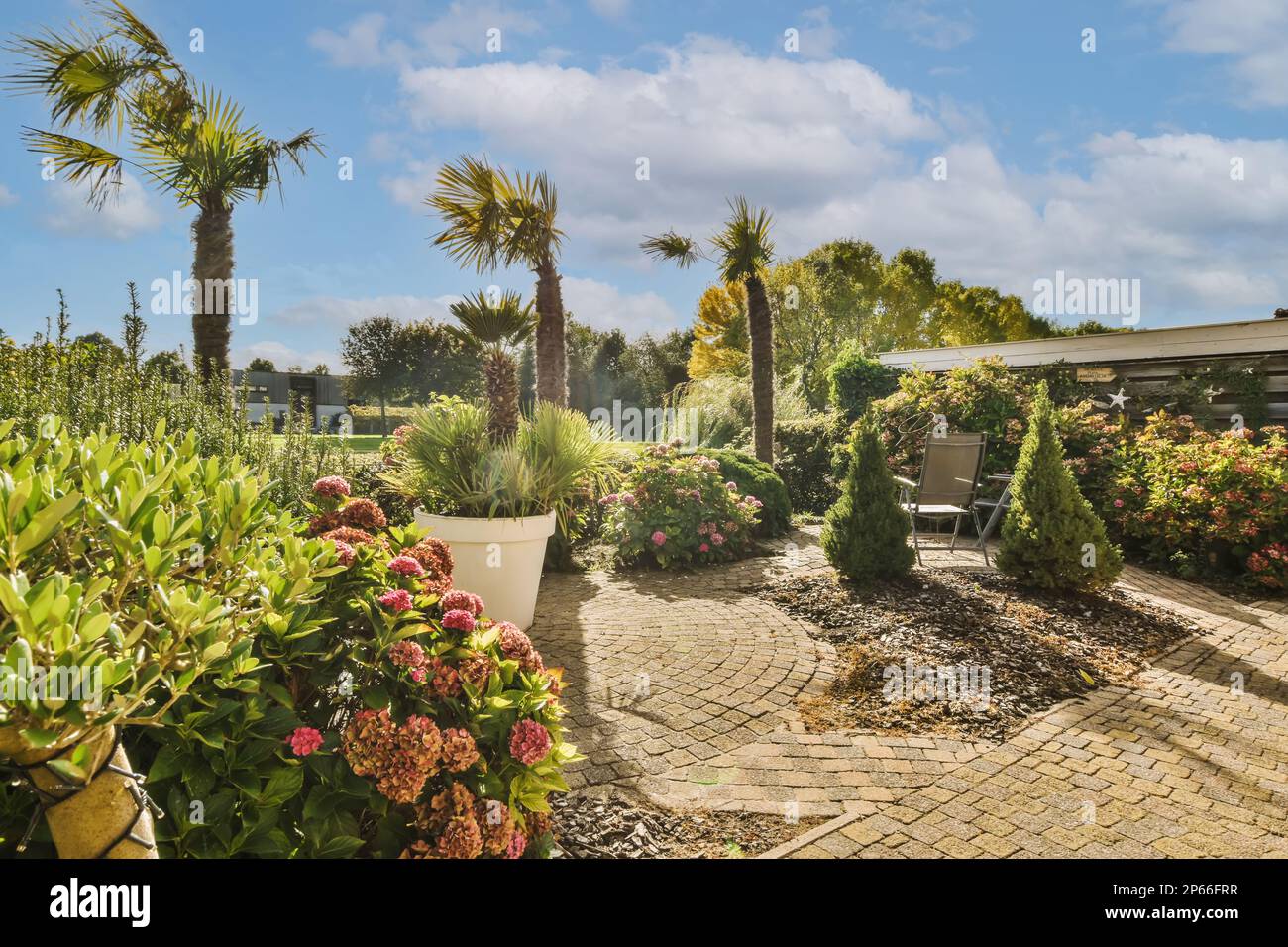 the back yard with potted plants and palm trees in the garden is ...