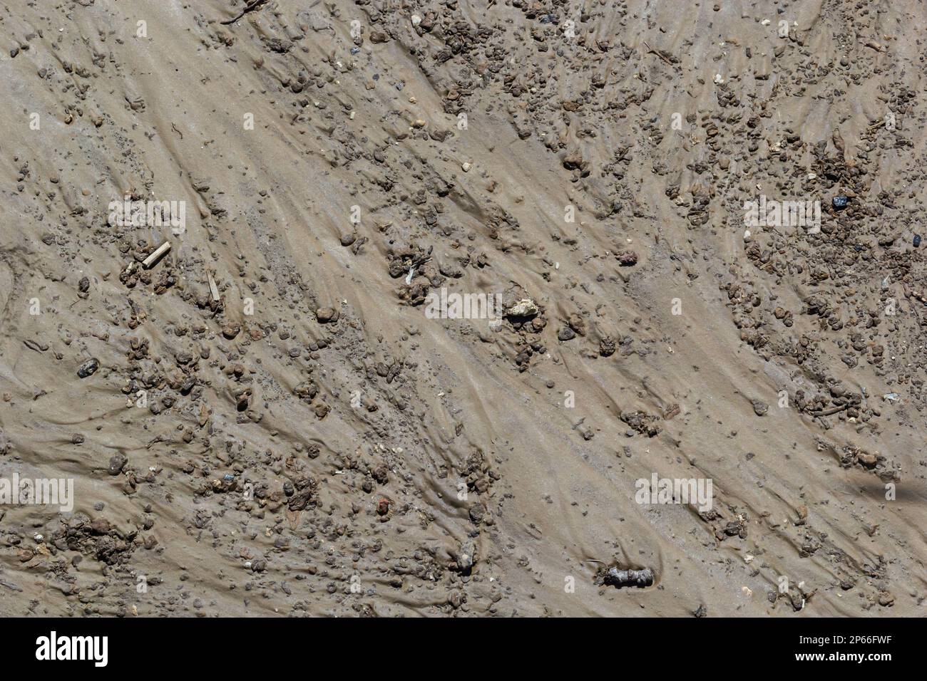 Dirty washed dirt road with traces of water flow in spring. Off-road ...