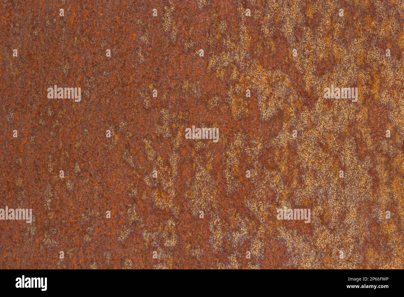 Panoramic grunge rusted metal texture, rust and oxidized metal ...