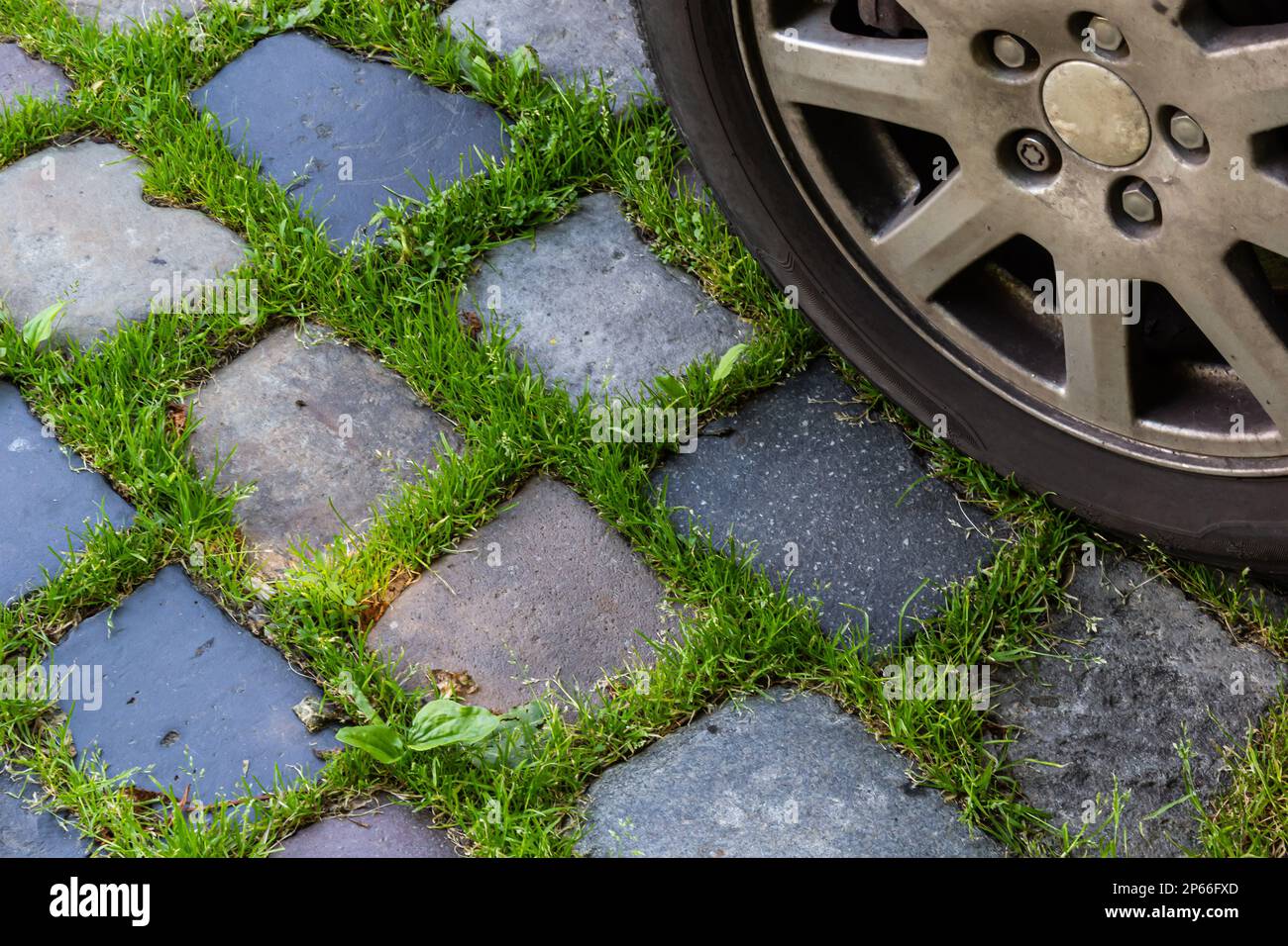 Pavement. Grass and concrete. Paving with cut grass, like parking a car ...