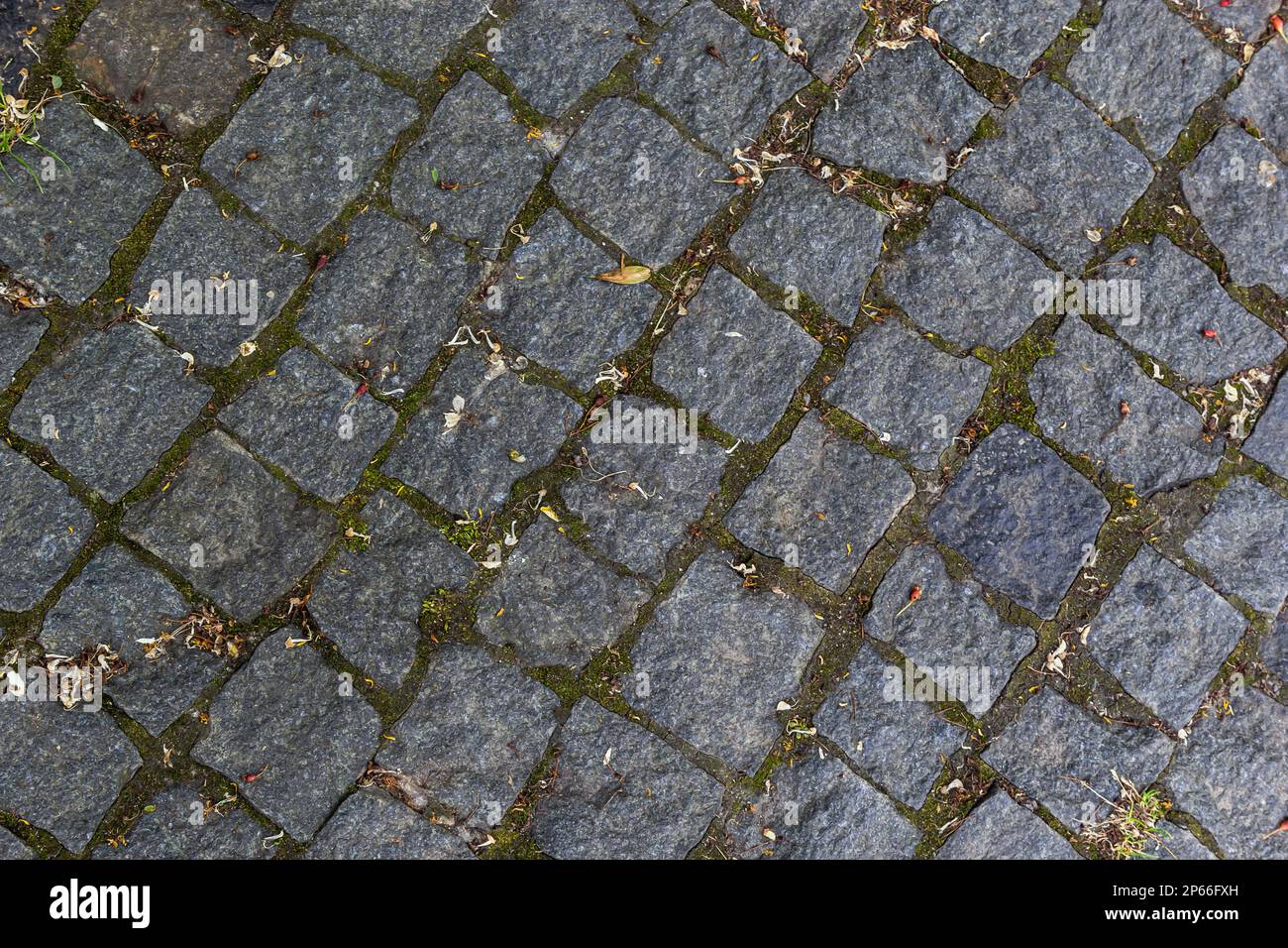 Cobblestone garden square hi-res stock photography and images - Alamy