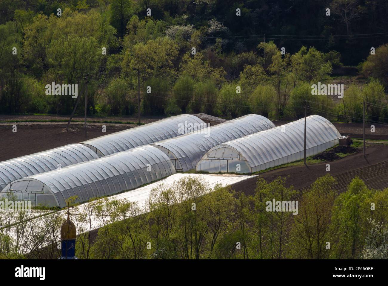 Greenhouses lined up in a row, covered with a transparent film of grown ...