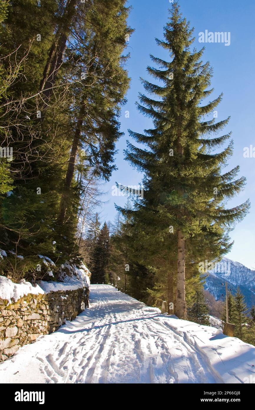 Switzerland, Canton Ticino, Fusio Stock Photo - Alamy