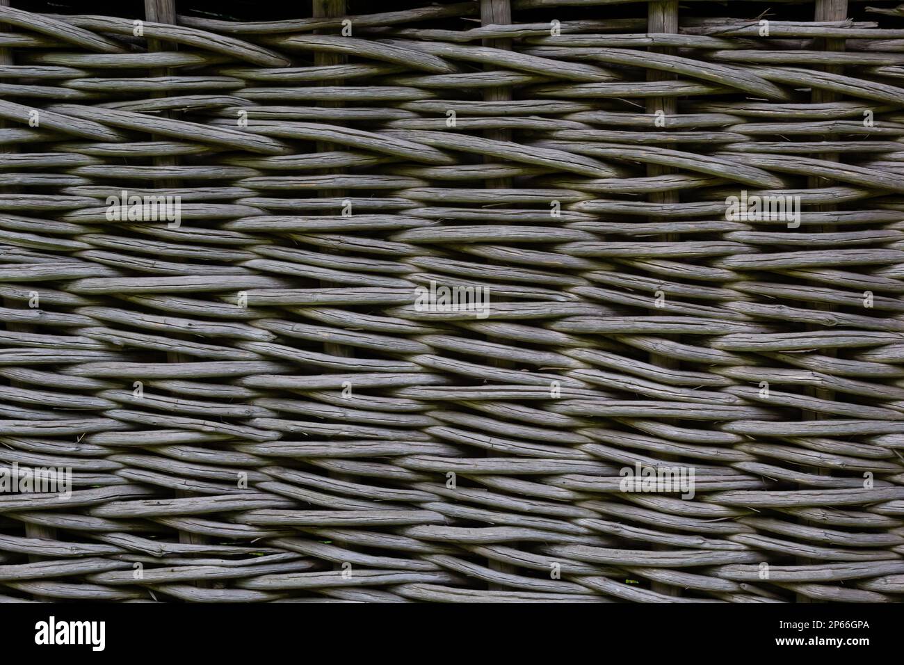 The fence is woven from dry branches, close-up. Weaving from dry willow ...