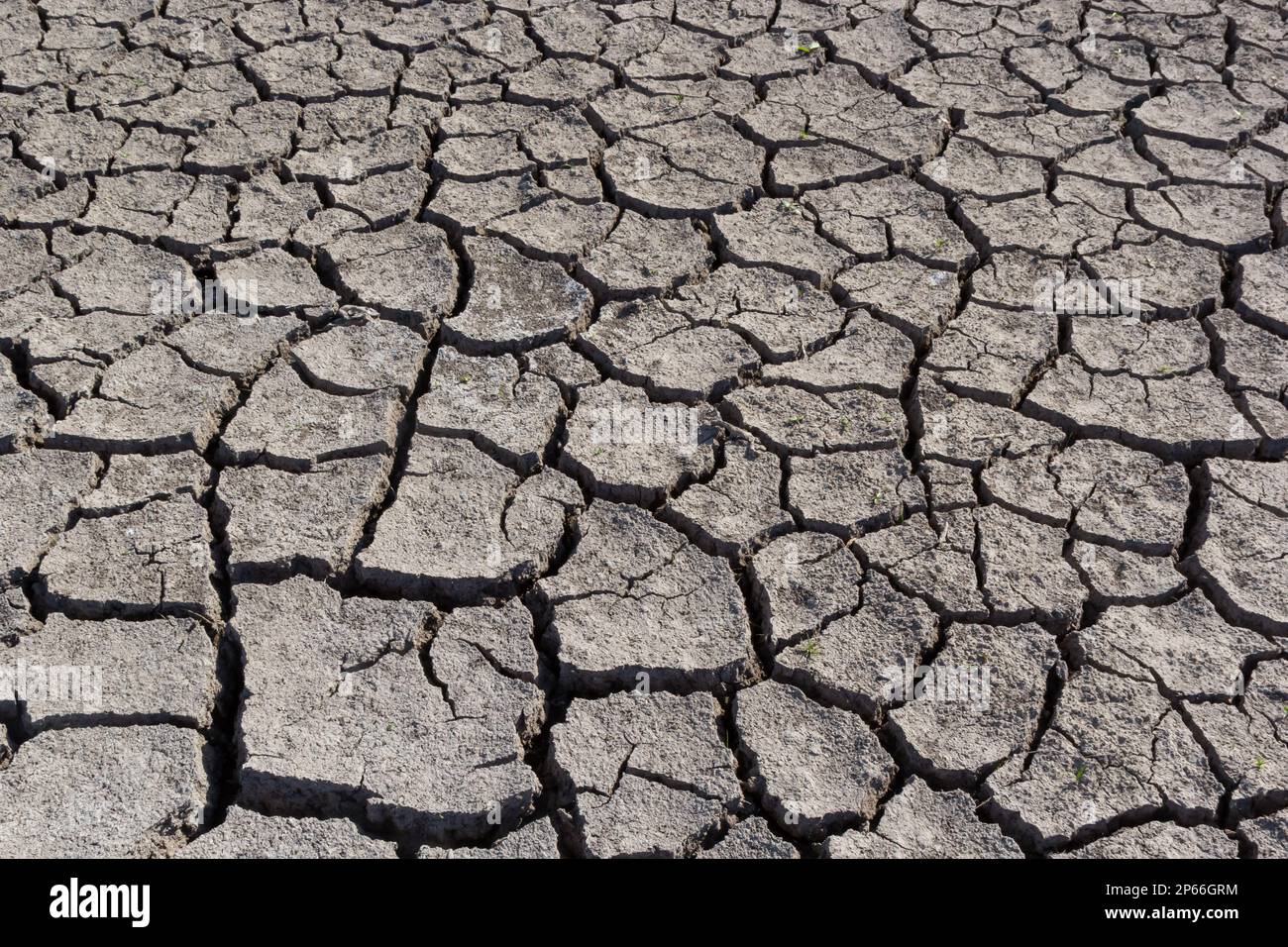 dry land in the dry season Drought, ground cracks, no hot water. Lack ...