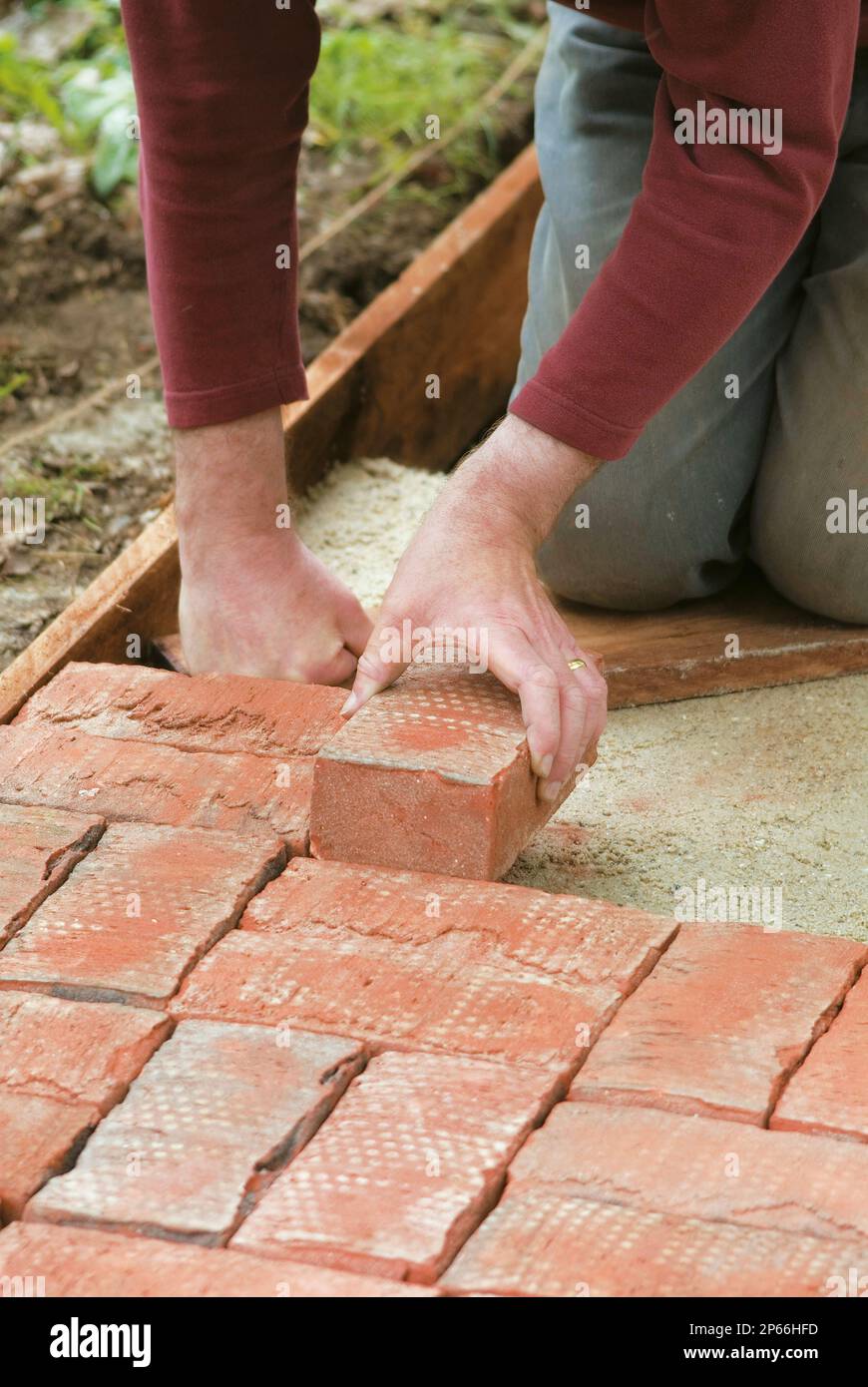 Making a brick garden pathway laying bricks project 10 Stock Photo - Alamy