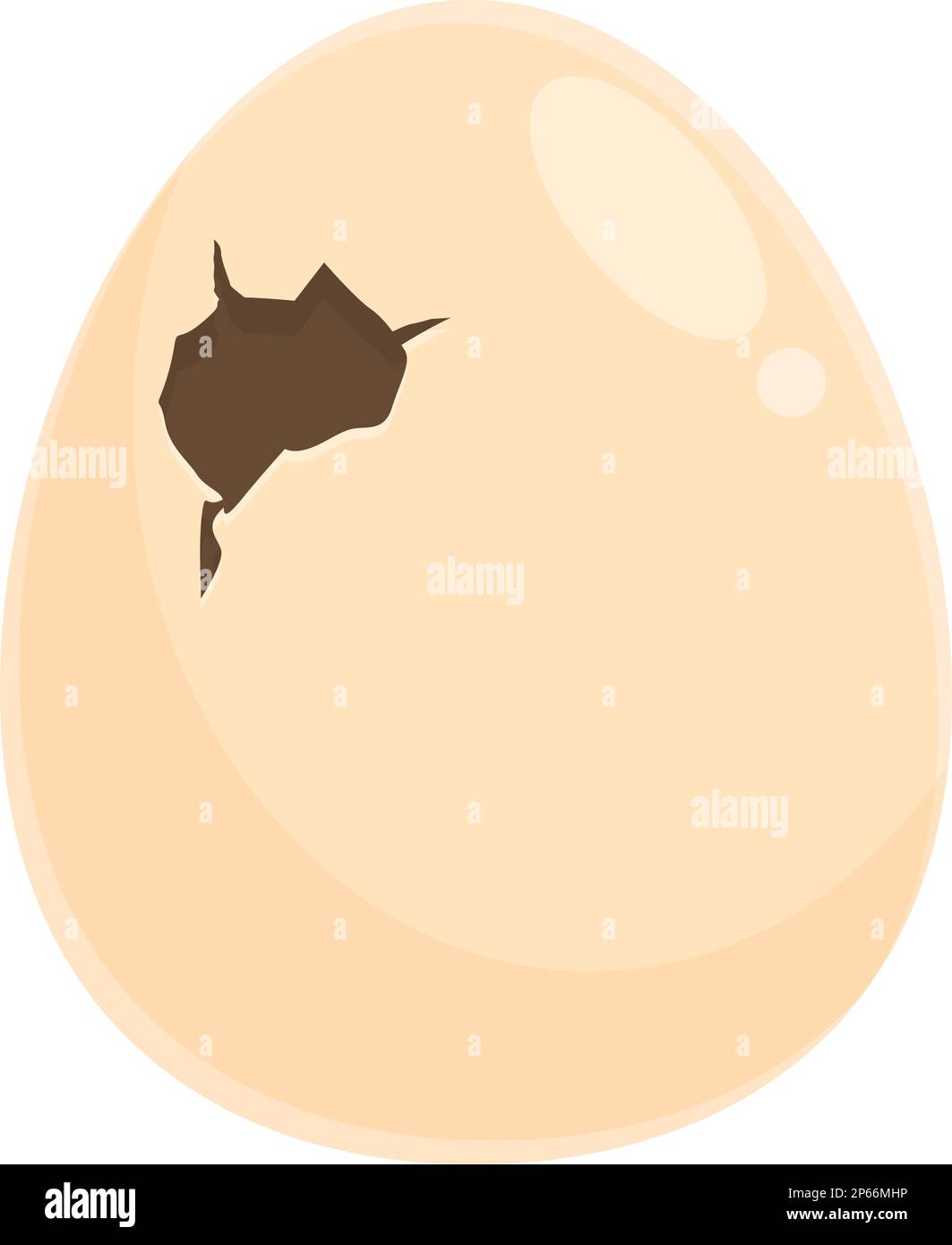 Chicken egg hatching shell nest Stock Vector Images - Alamy