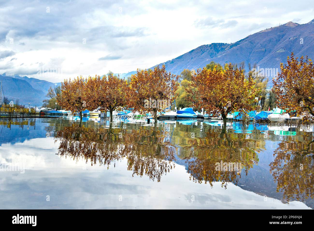 Switzerland, Magadino, alluvion Stock Photo - Alamy