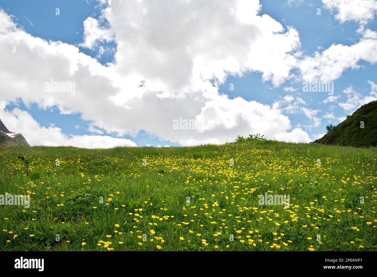 Piora valley hi-res stock photography and images - Alamy