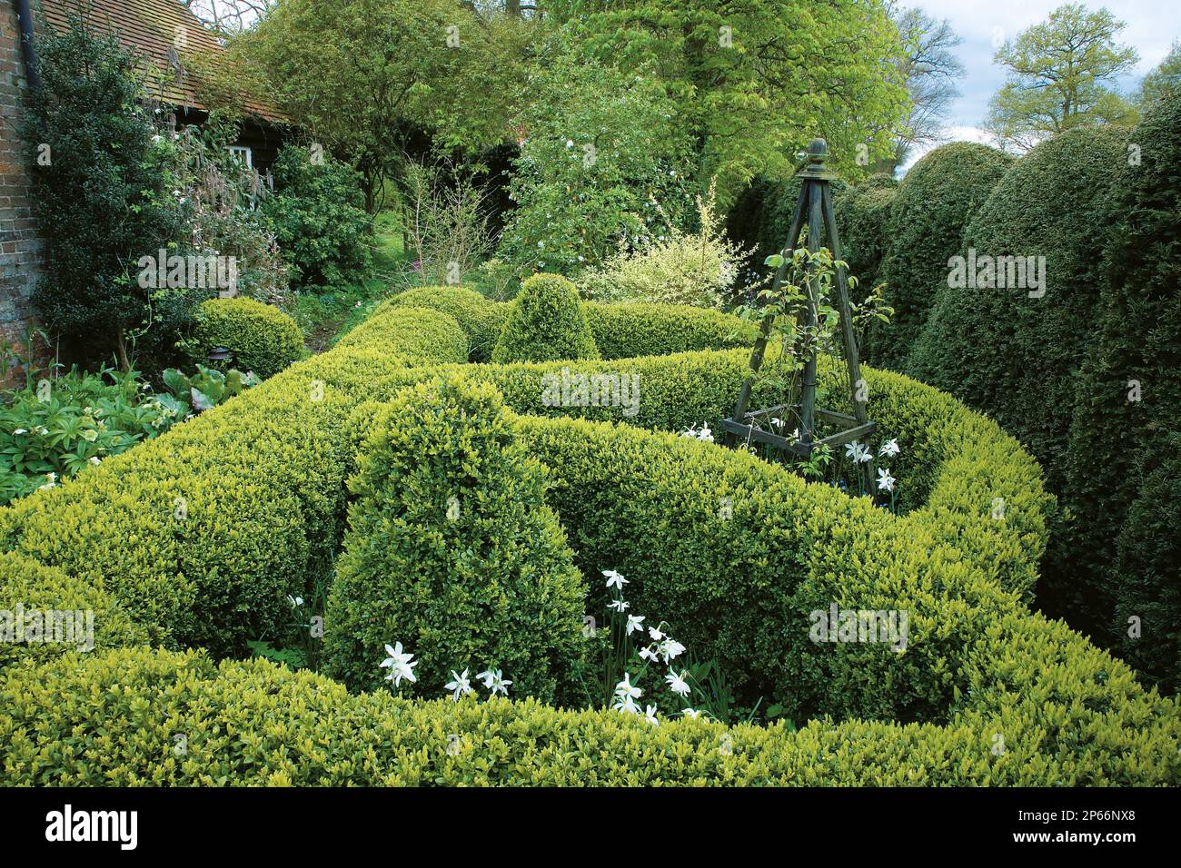 Clipped garden hedge hi-res stock photography and images - Alamy