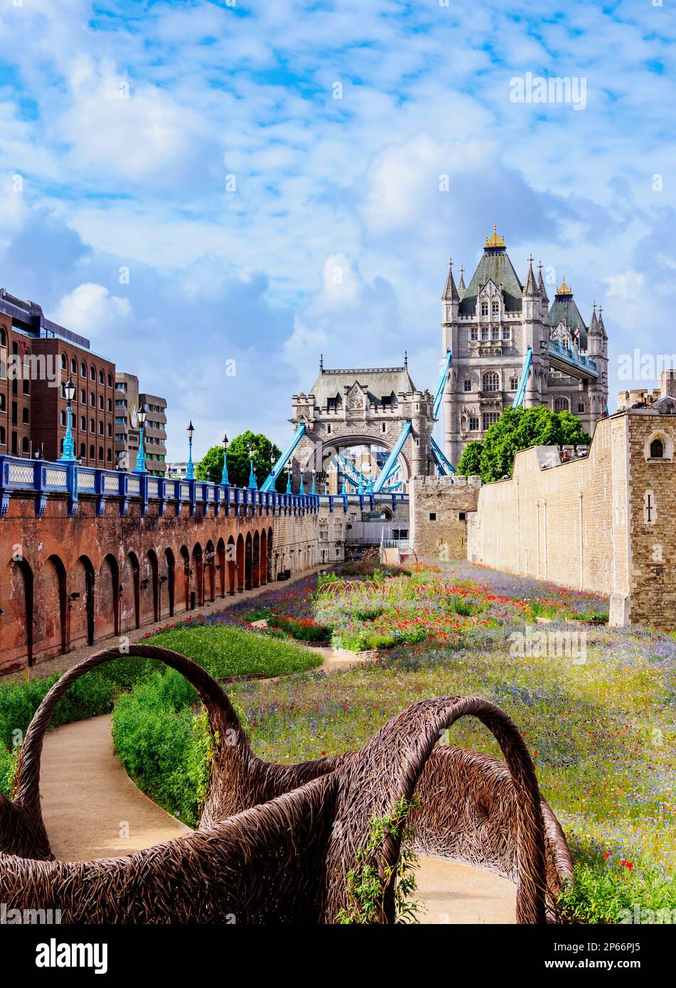 View over the Tower Bridge Piazza towards Tower Bridge, London, England ...