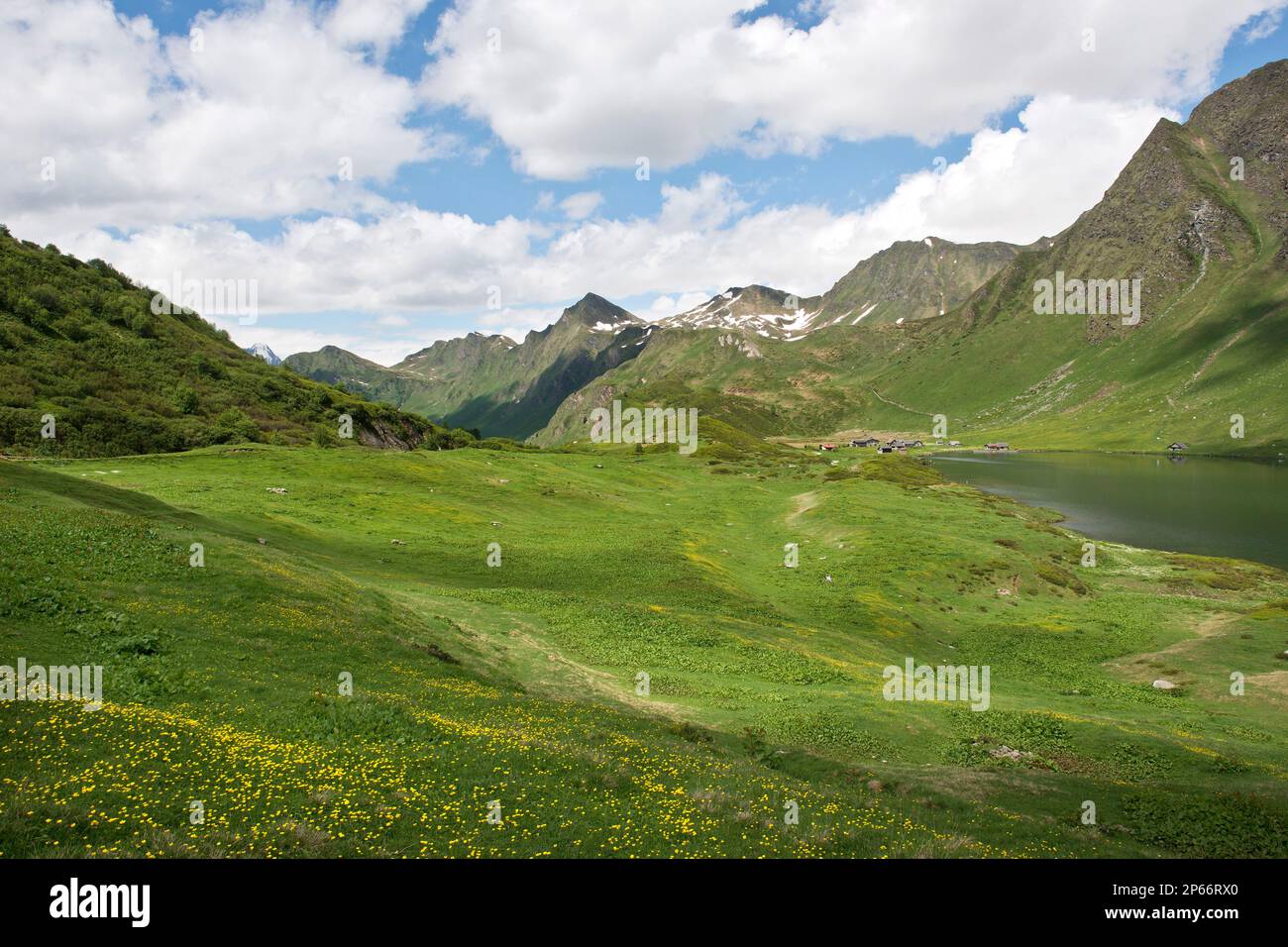 Switzerland, Canton Ticino, Ritom-Piora Stock Photo - Alamy