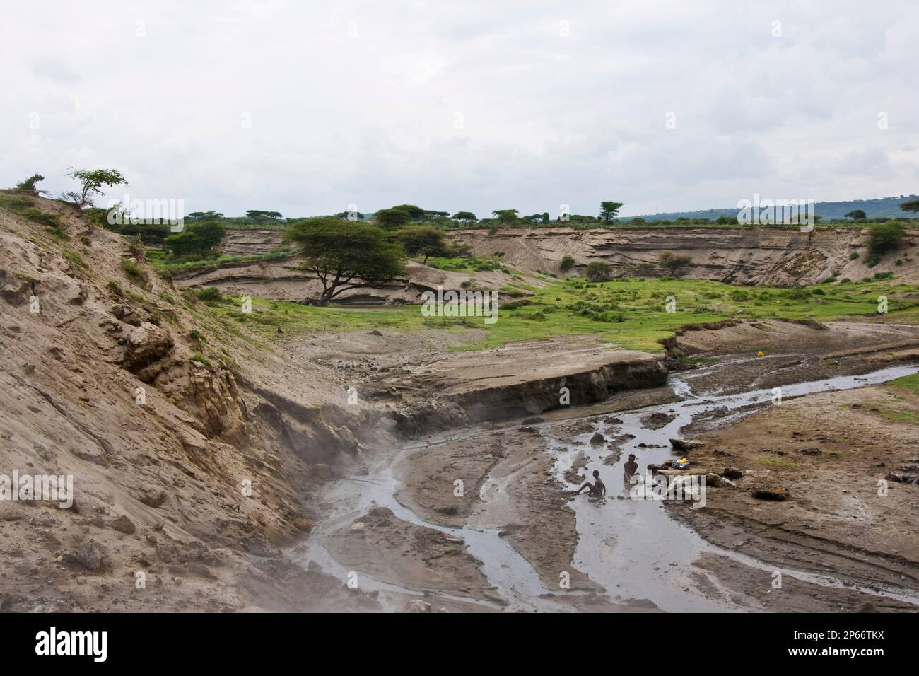 Hot springs, Ziway park, Ethiopia Stock Photo - Alamy