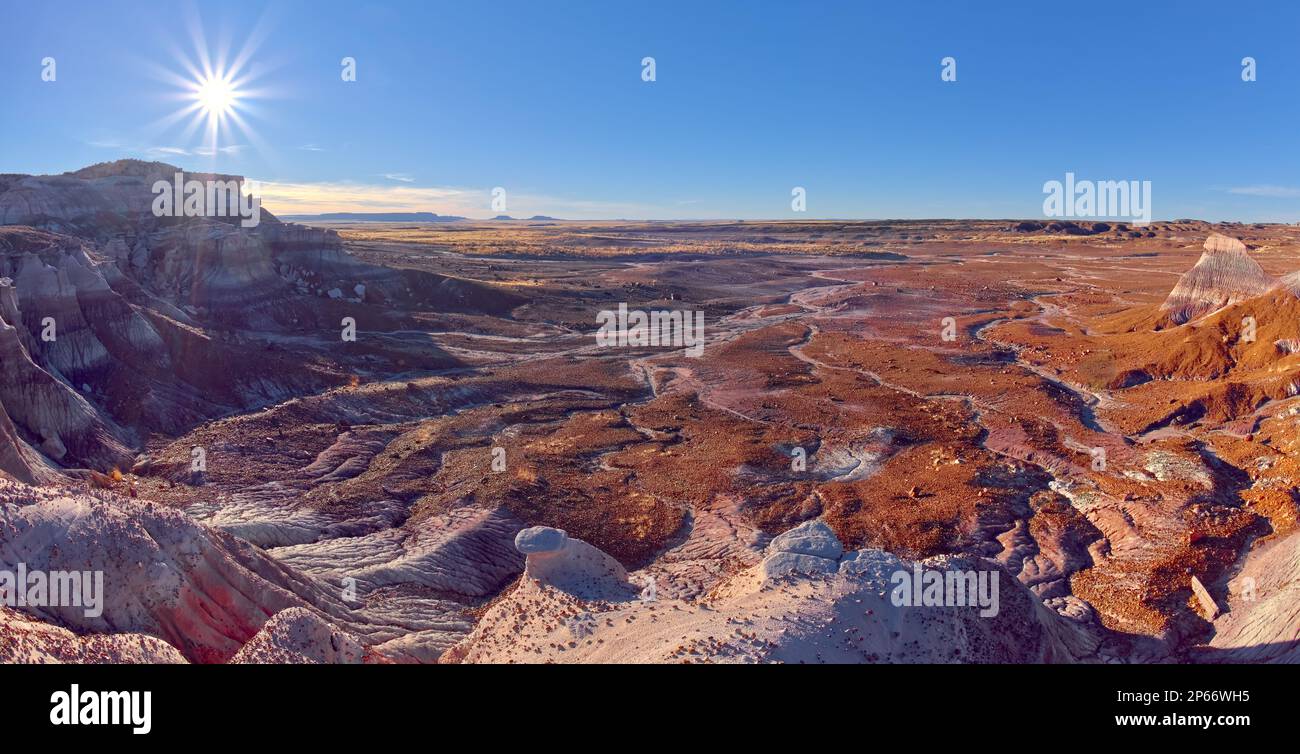 View of the Blue Forest plains from the lower part of Blue Mesa in ...