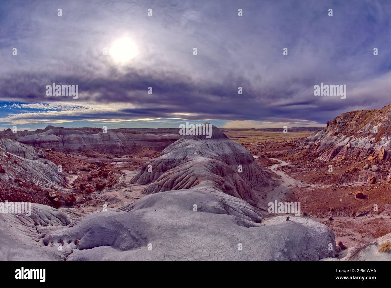 A ridge of purple bentonite clay jutting out into Jasper Forest at ...