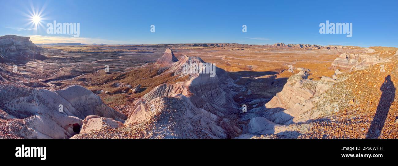 View of the Blue Forest plains from the lower part of Blue Mesa in ...