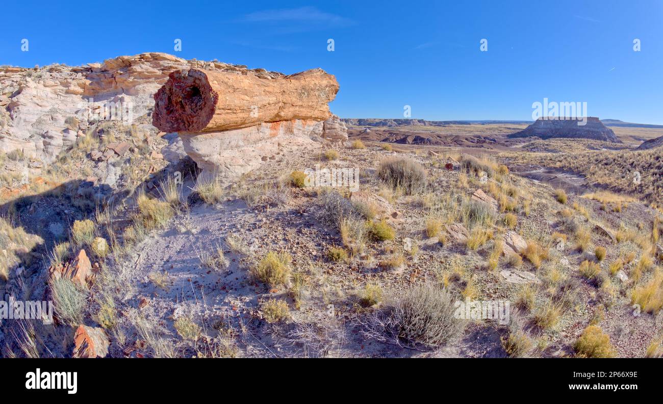 A giant petrified log balanced on a sandstone pedestal along the Red ...