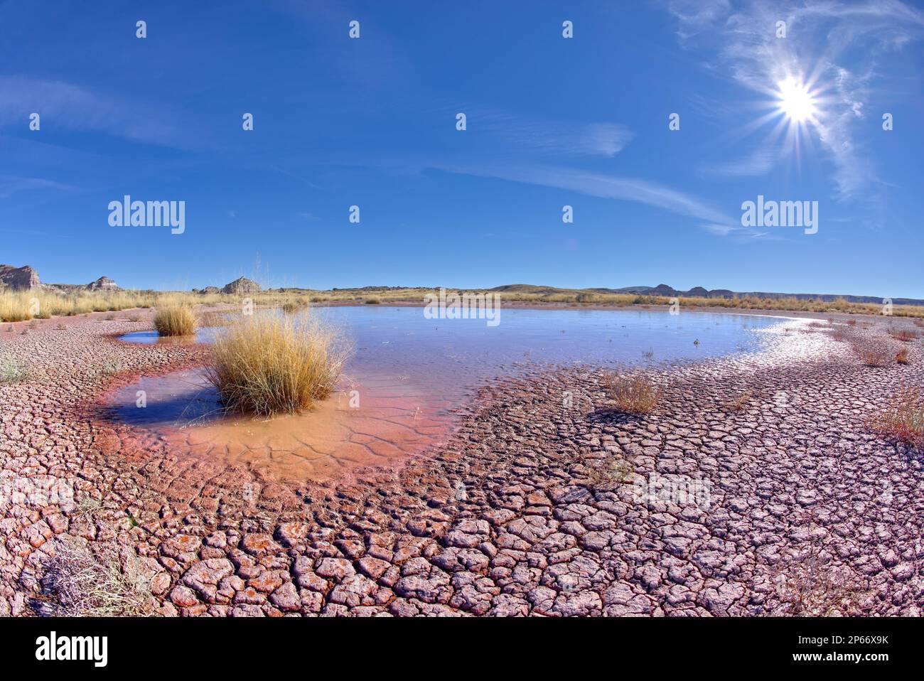 The shallow pond called Dry Creek Tank along the Red Basin Trail, Petrified Forest National Park ...