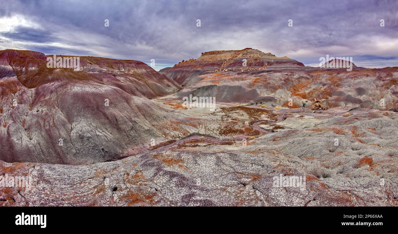 View of the salty bentonite hills on the north side of the Blue Forest ...