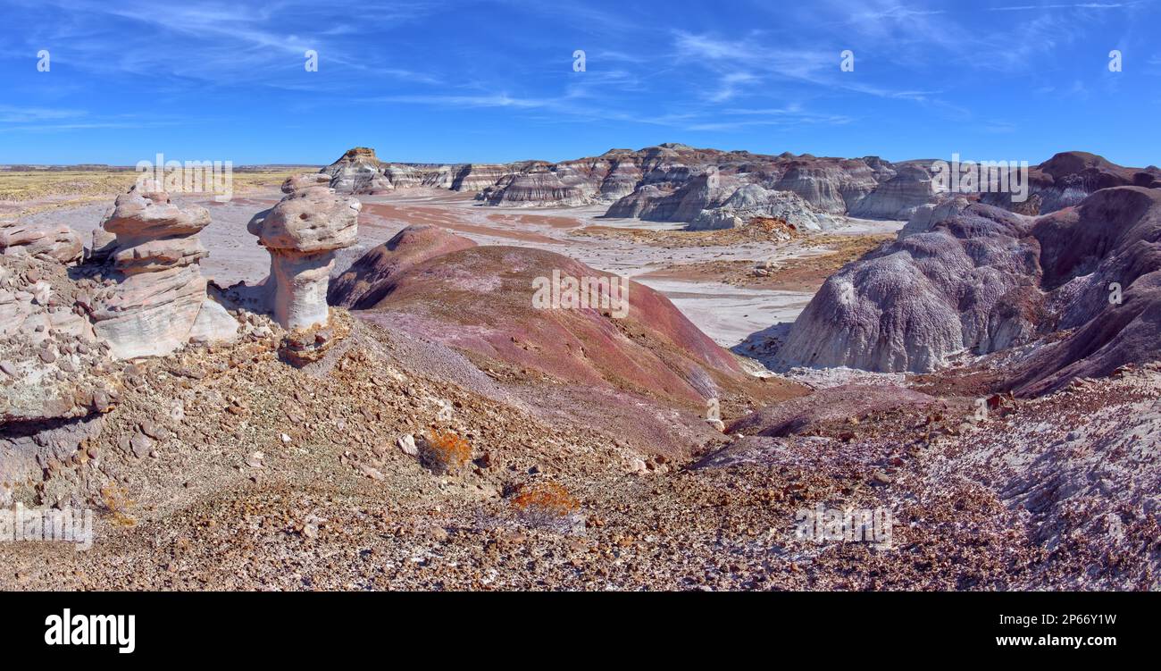 View of the West End of the Red Basin from a hilltop at Petrified ...