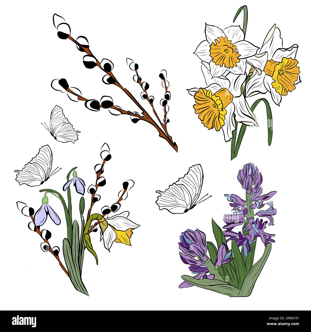 Willow leaves line drawing hi-res stock photography and images - Alamy
