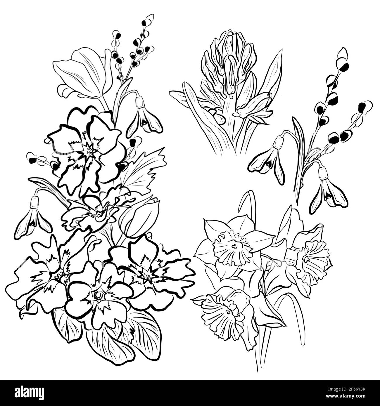 Line drawing flowers leaves Black and White Stock Photos & Images - Alamy