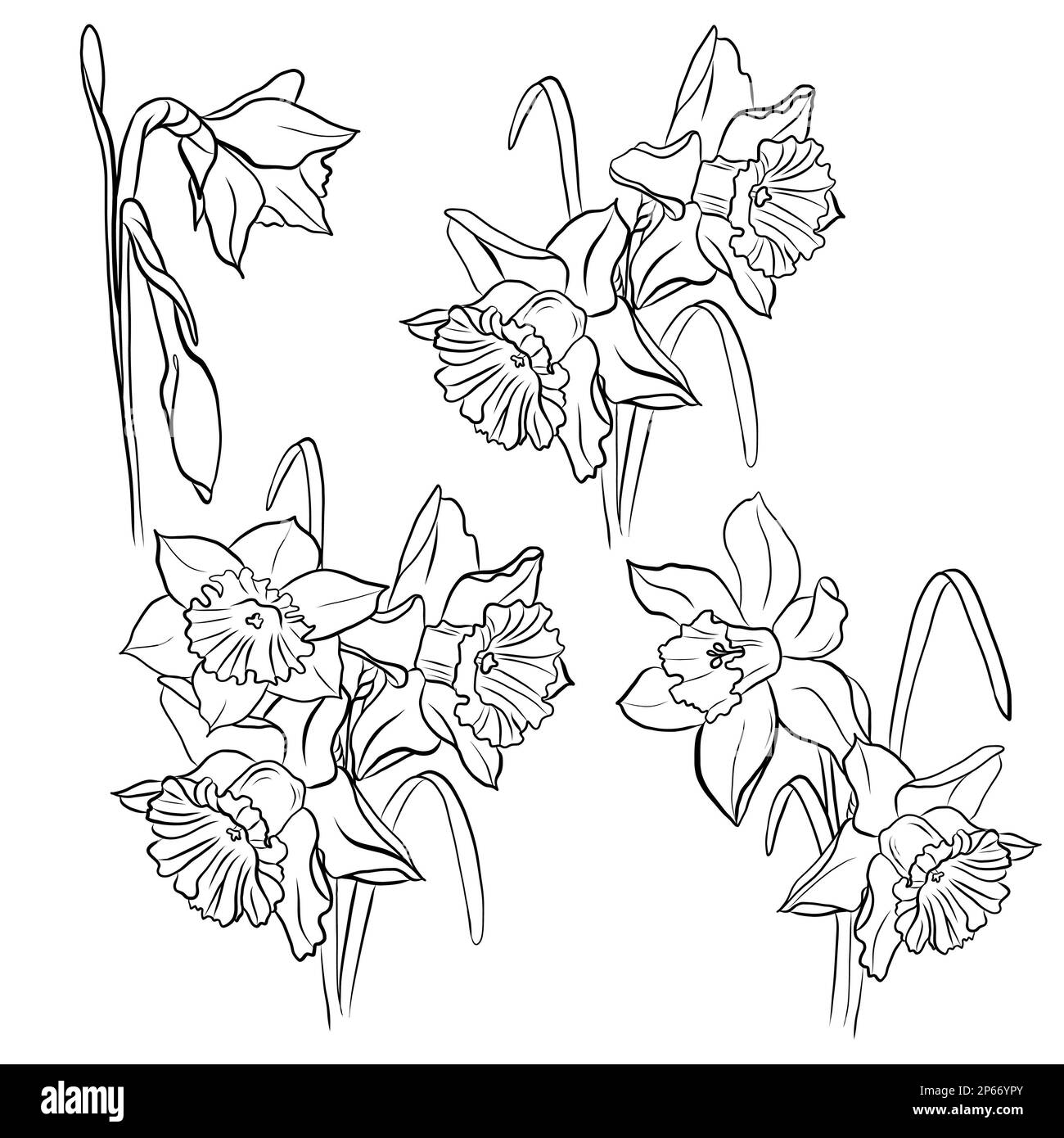 Easter bouquet flower Black and White Stock Photos & Images - Alamy