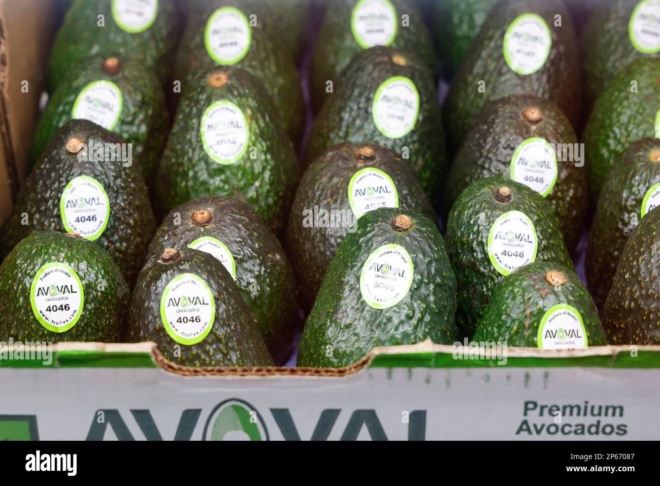 Mexico on display at exhibition hi-res stock photography and images - Alamy