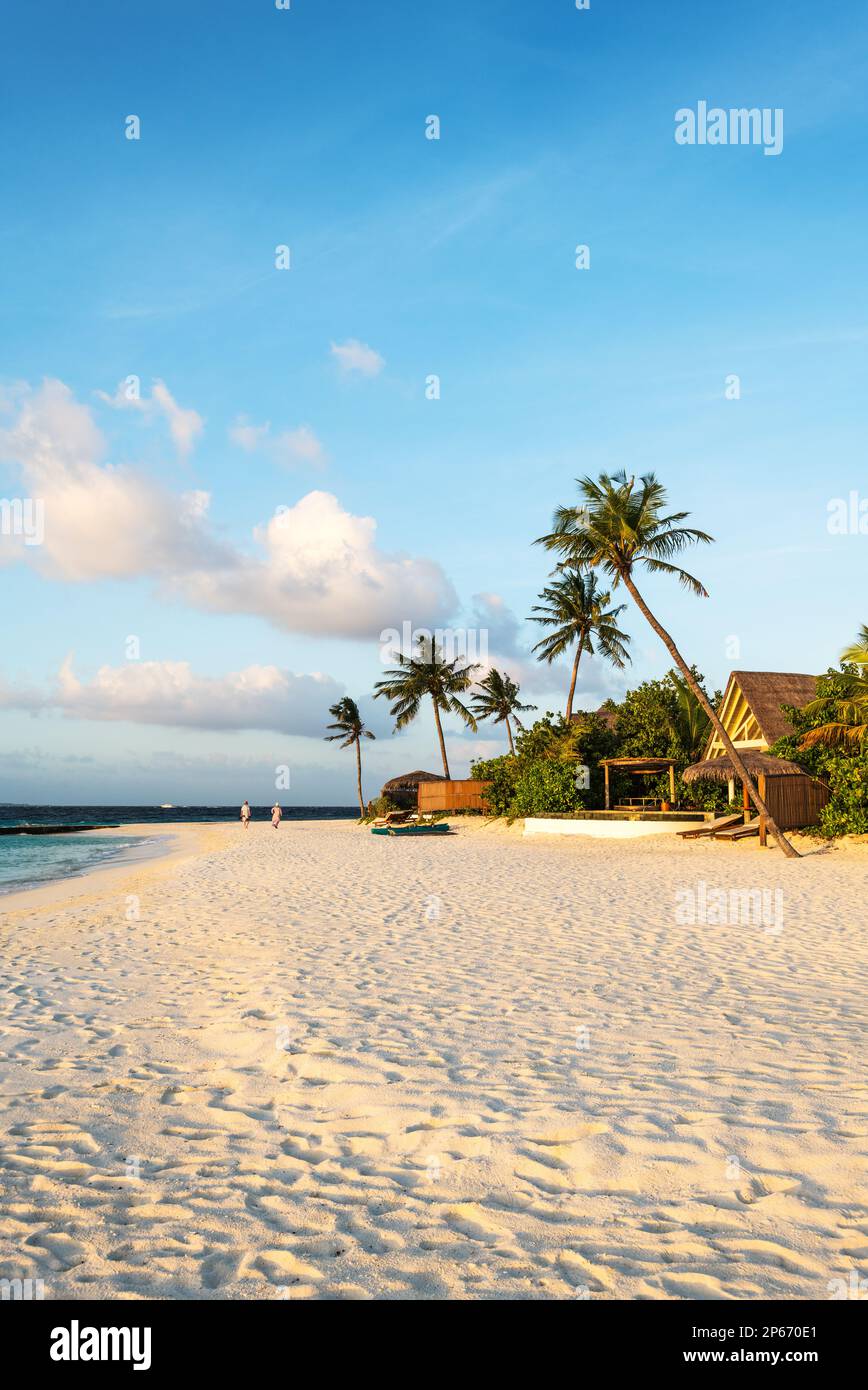 A couple walking in the morning sunshine on a tropical beach, Baa Atoll ...