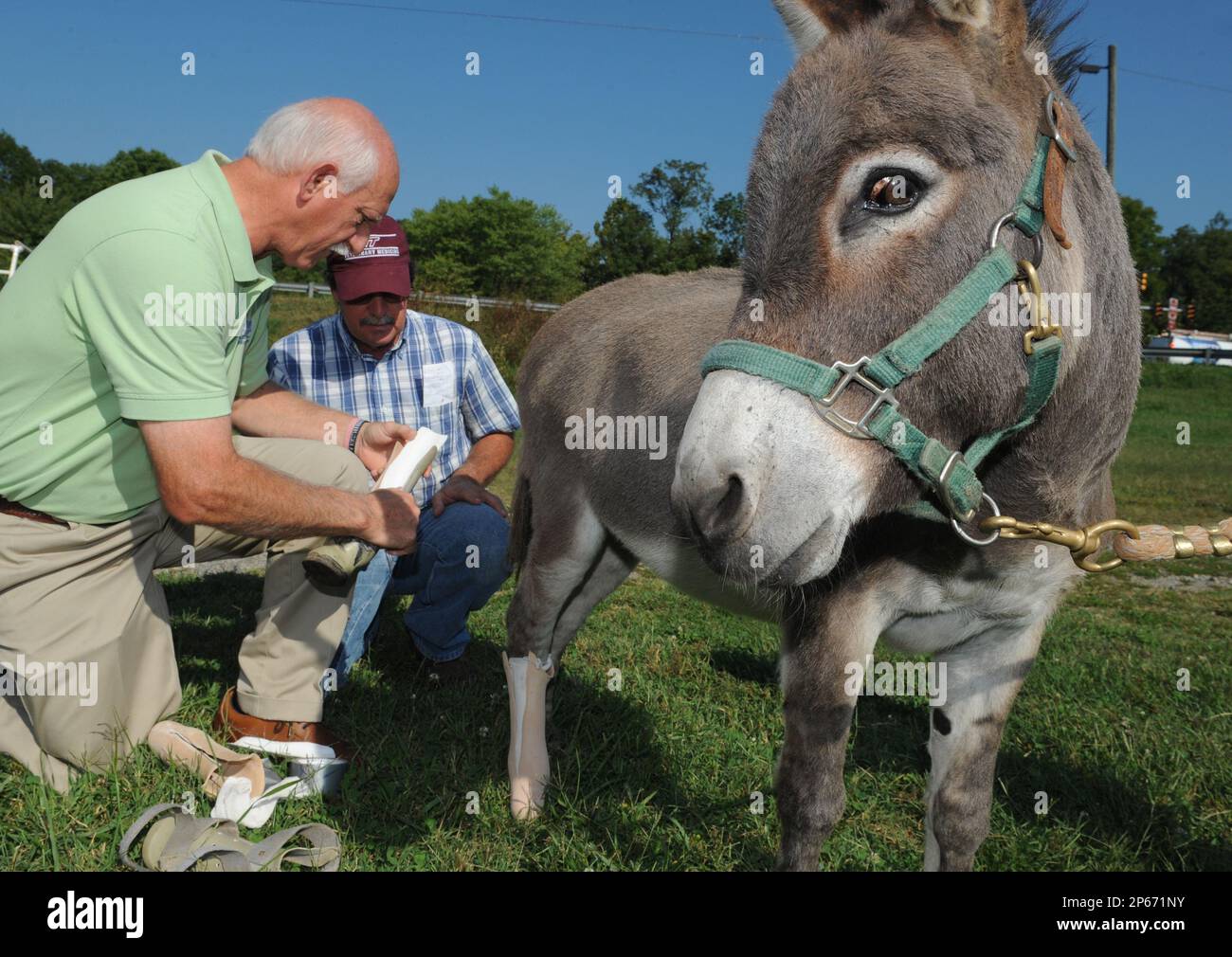 Sidney Nicely, prosthetist for Virginia Prosthetics, examines the ...