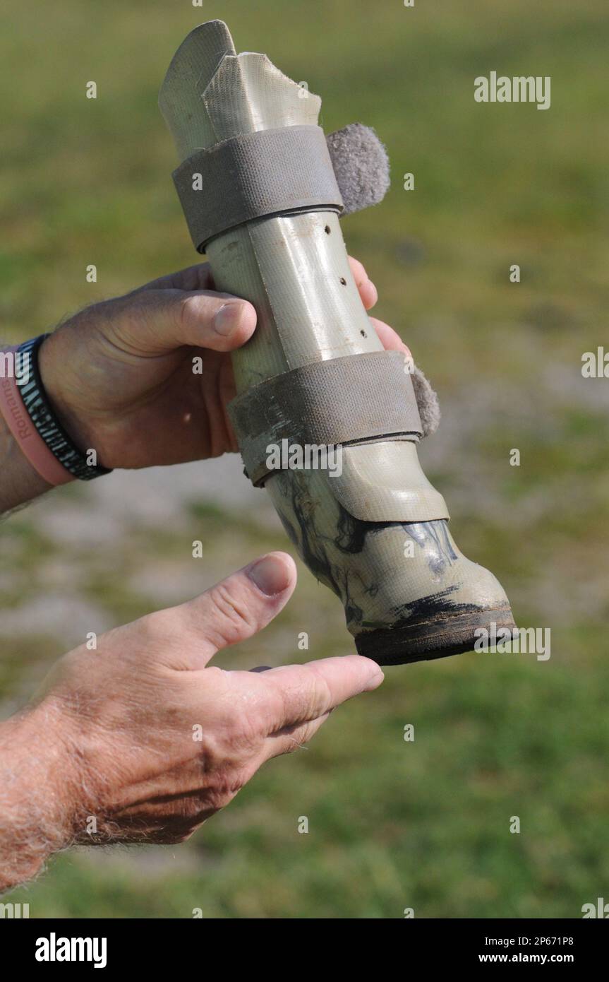 A close-up of Stitches the donkey's prosthetic hoof. Stitches, a 15 ...
