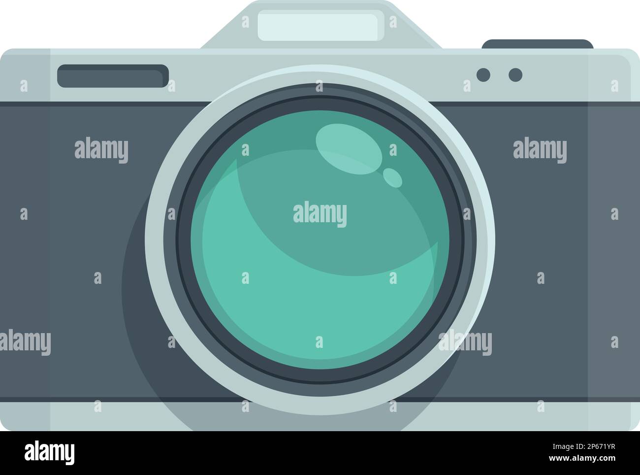 Camera icon cartoon vector. Digital photo. Flash picture Stock Vector ...