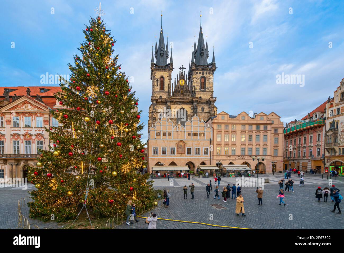 Christmas tree at Old Town Square with Church of Our Lady before Tyn ...