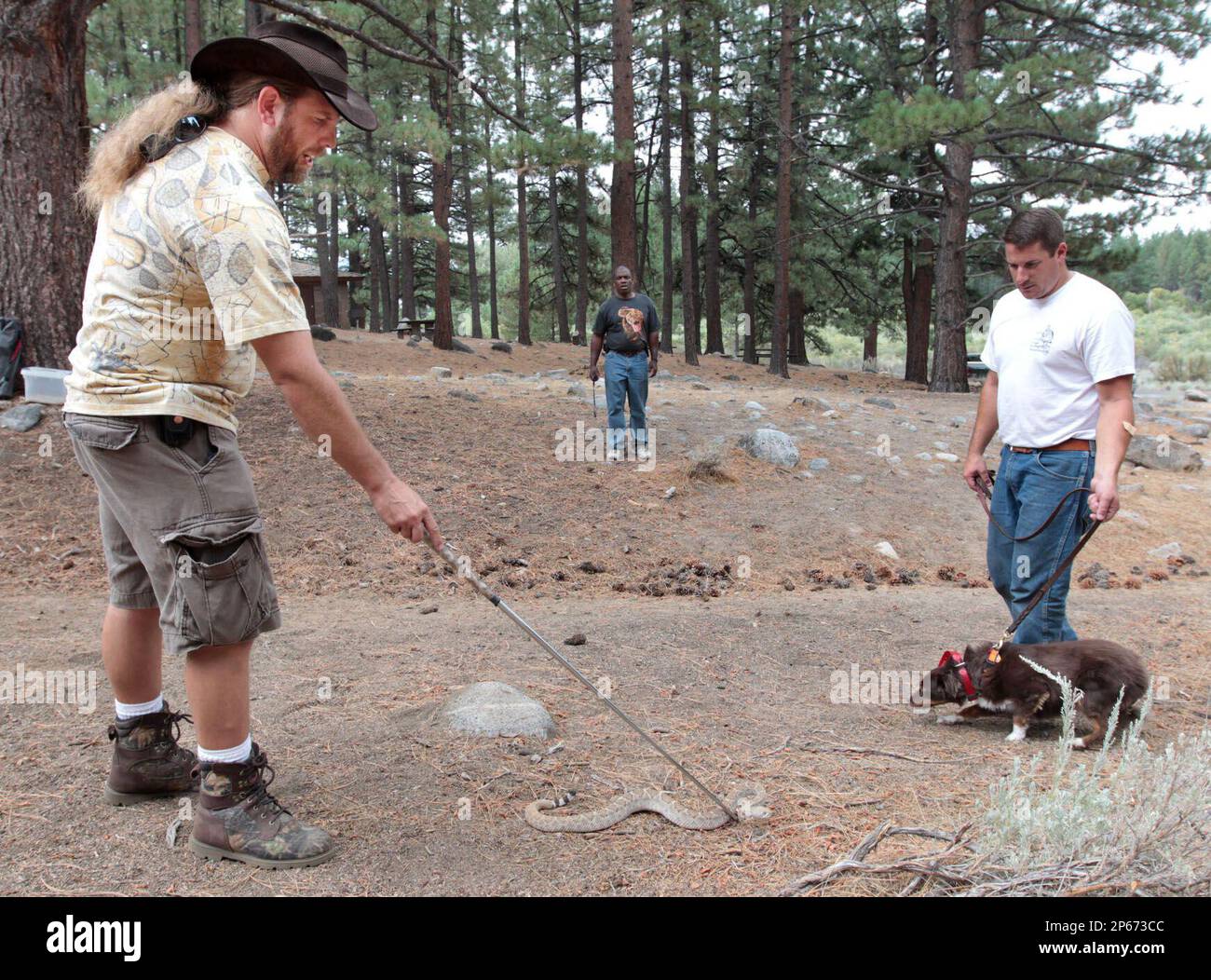 Snake-handler John Potash, left, and dog trainers Willie Stevens ...