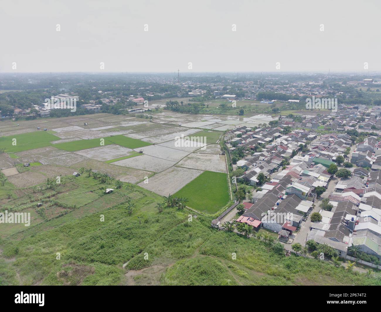 aerial view of various rice fields pattern side by side with local ...