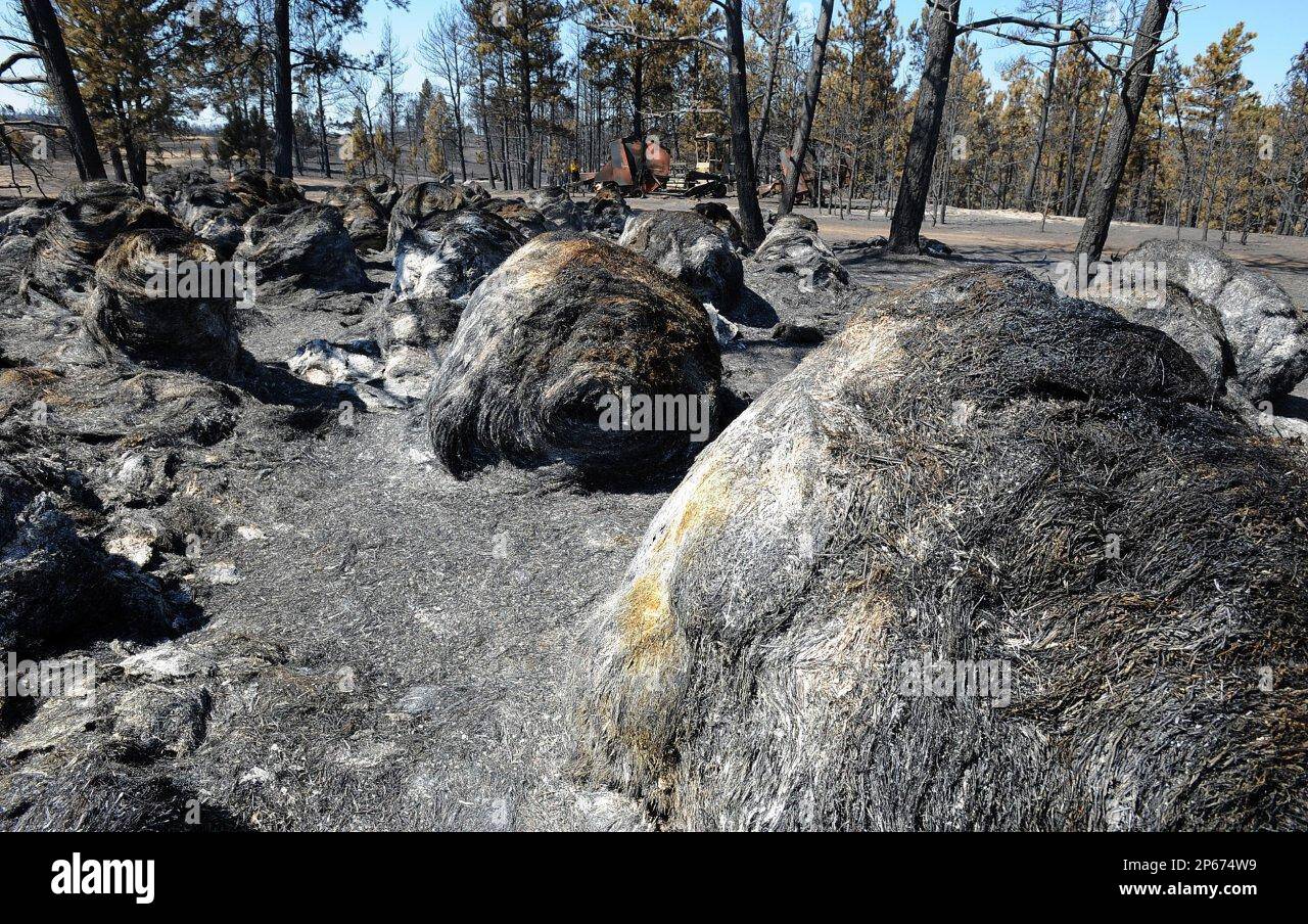 This photo taken Aug. 27, 2012, shows charred hay bales after the ...