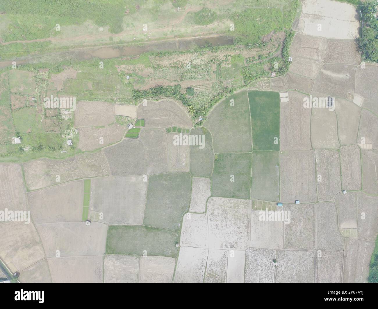 aerial view of various rice fields pattern side by side with local ...